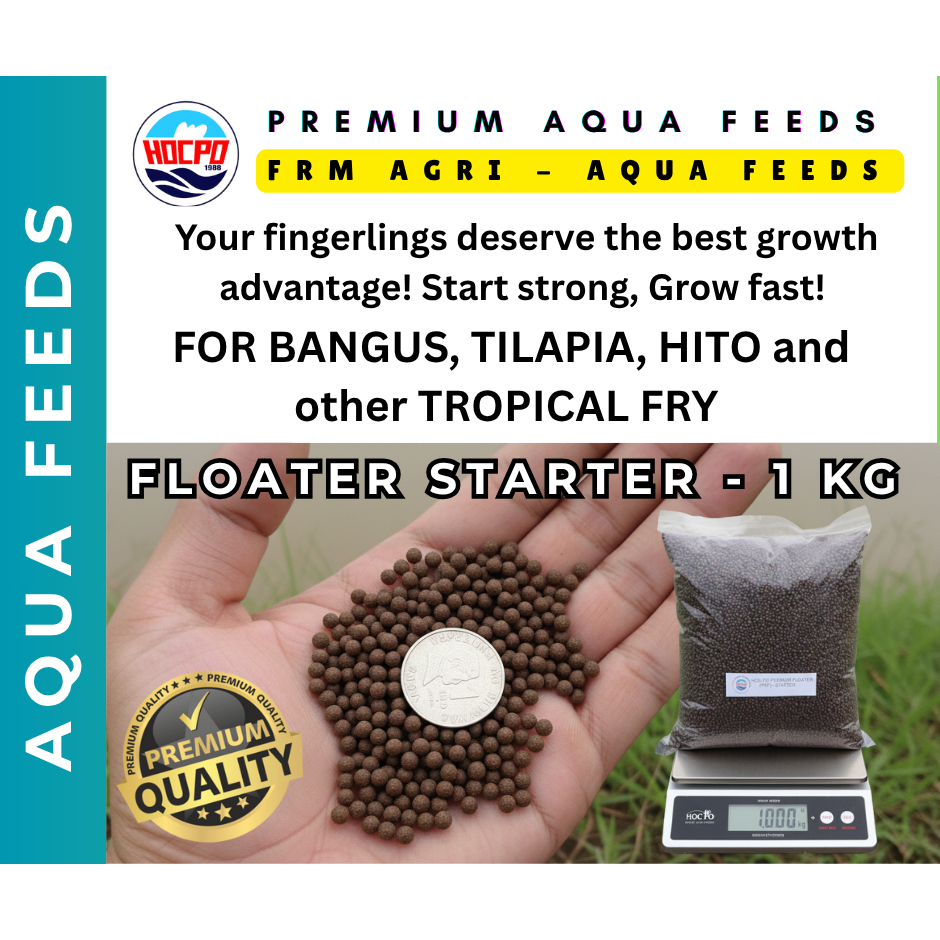 FLOATER STARTER Premium Aqua Feeds, repacked in 1KG, less waste ...