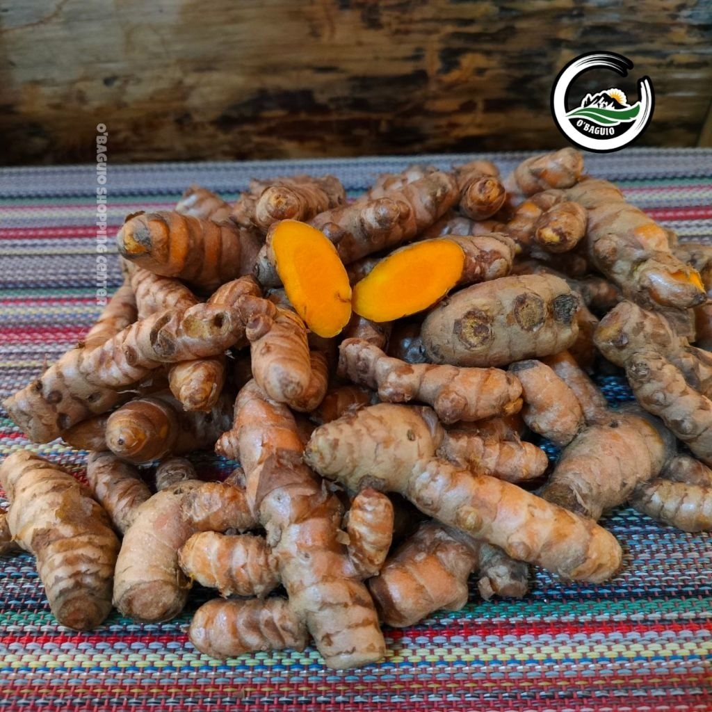 Benguet Turmeric Bulb - Luyang Dilaw | Per Kilo | O'Baguio (COD ...