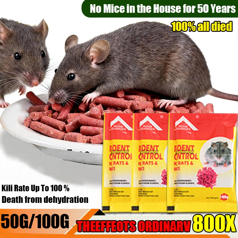 Rat Poison with Natural Ingredients 100g/Pack to eat mouse rat trap ...