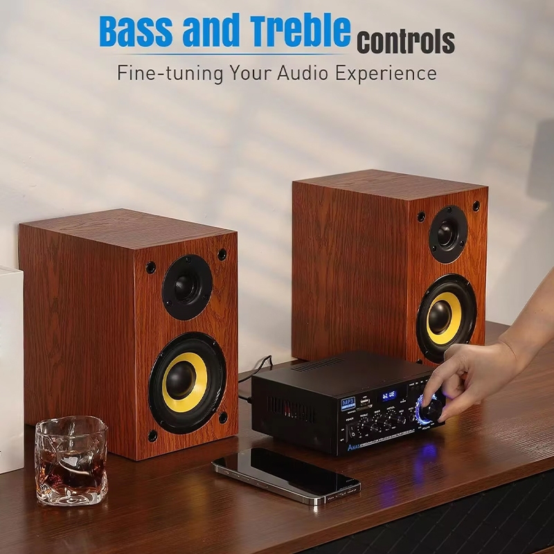 AK45 HIFI Audio Player Stereo Power Amplifier 12v 220V Subwoofer Speaker Bluetooth 5.0 | Shopee ...