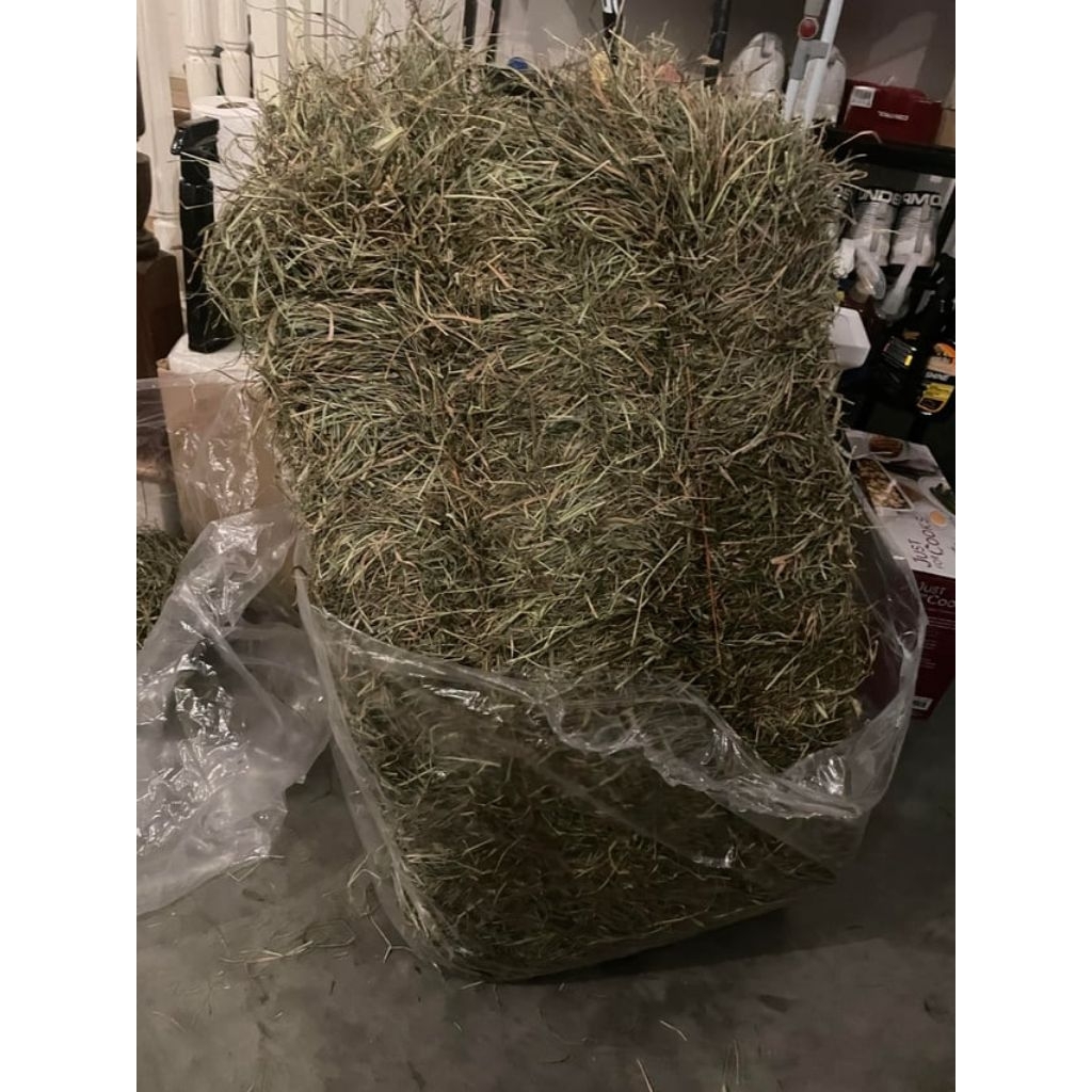 Dayami star grass/ rice straw 250grms per bugkos | Shopee Philippines