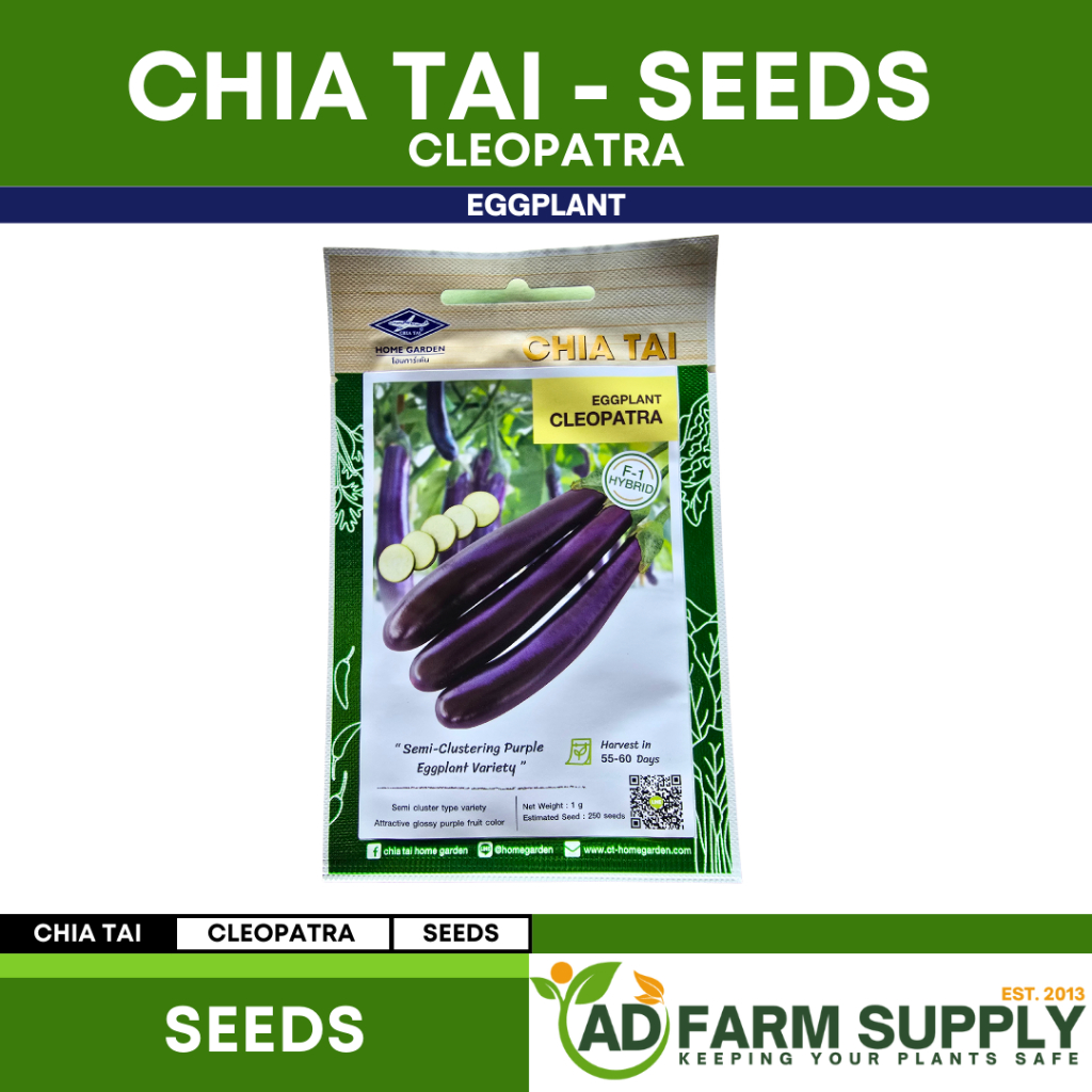 CHIA TAI CLEOPATRA F1 HYBRID EGGPLANT (TALONG) SEEDS | Shopee Philippines