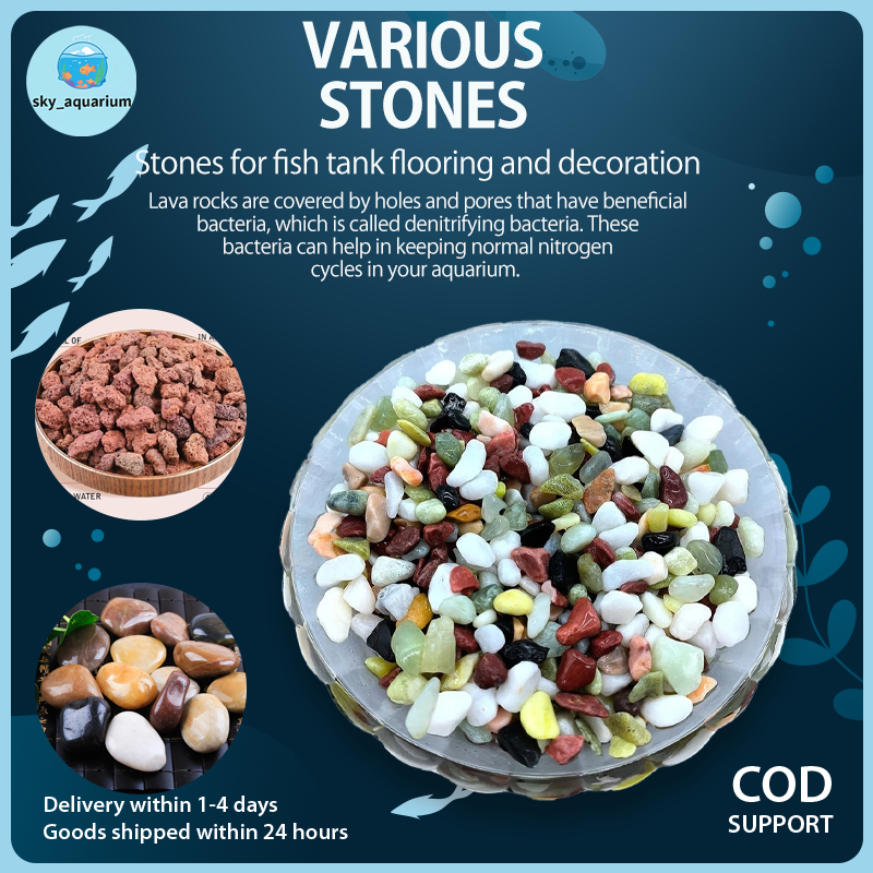Aquarium fish tank pebbles colored rocks | Shopee Philippines