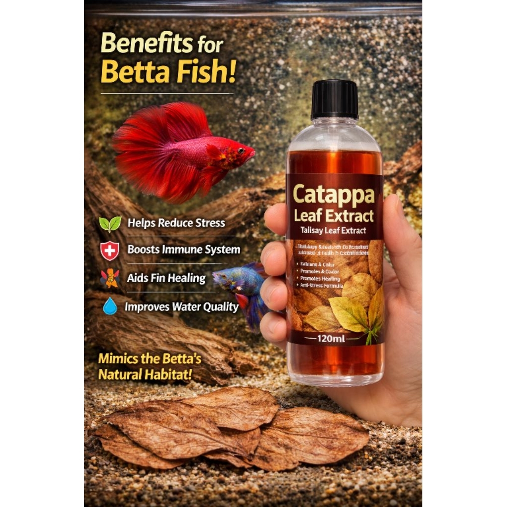 Catappa/Talisay leaves extract for Tropical Fishes | Shopee Philippines