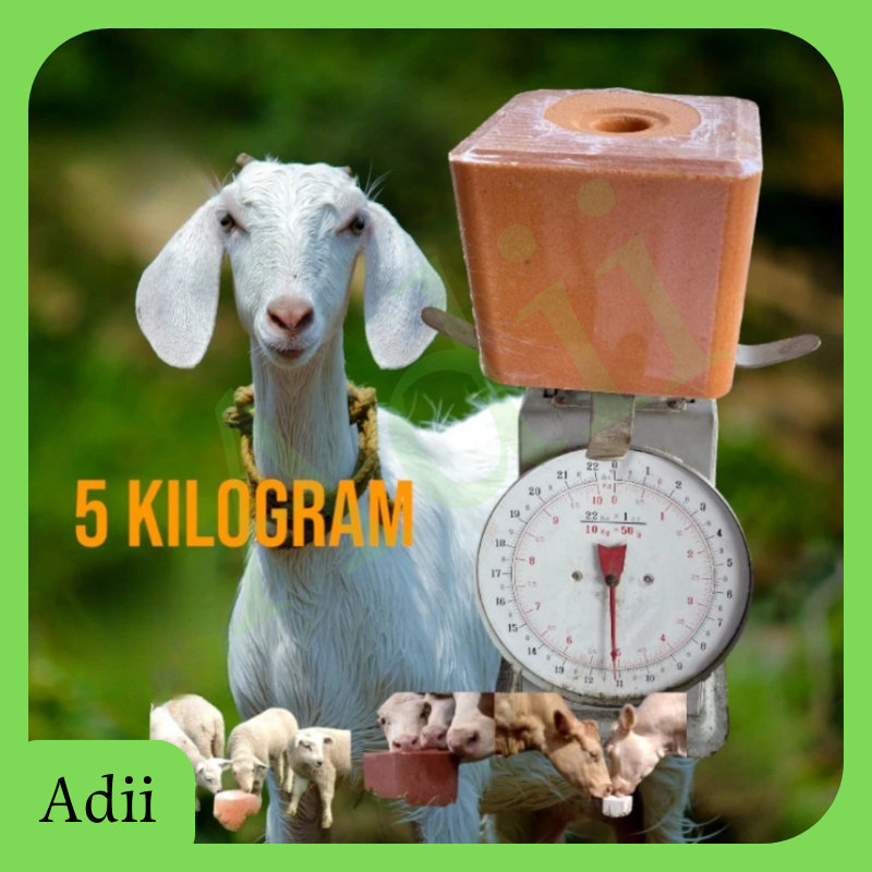 5KG Himalayan Mineral Salt Block for Goat Cow Natural Salt Lick for ...