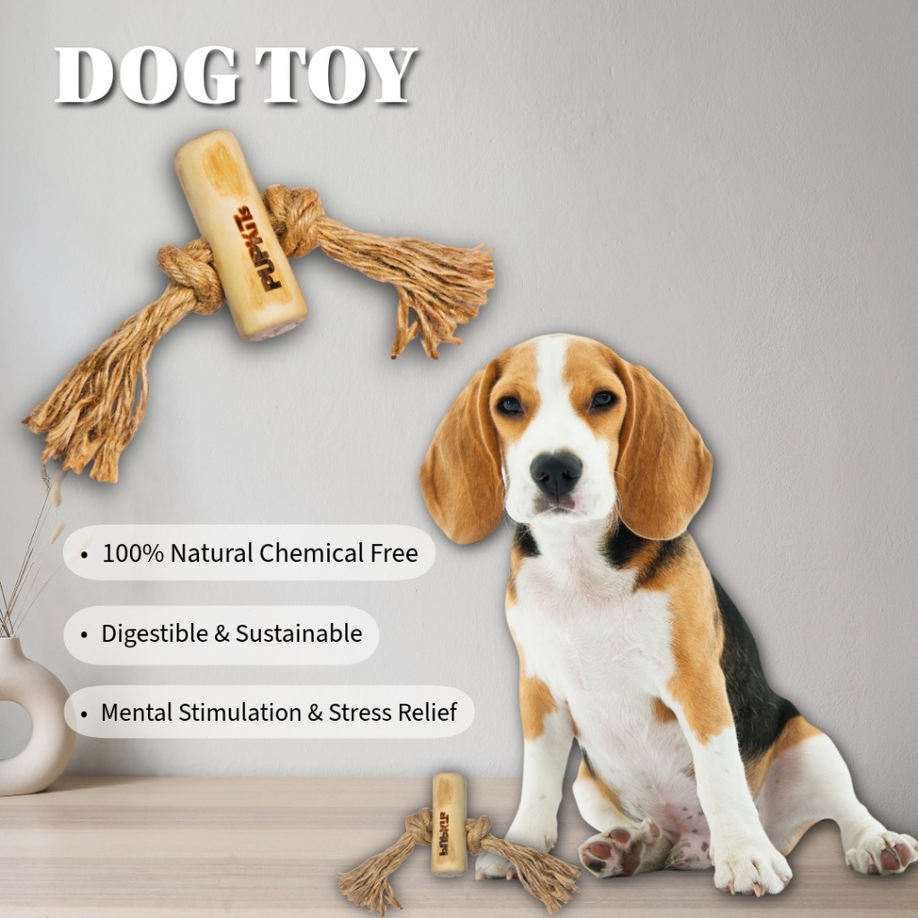 Dog Toy Coffee Wooden 100% Natural Chemical Free, Dog dental health toy ...