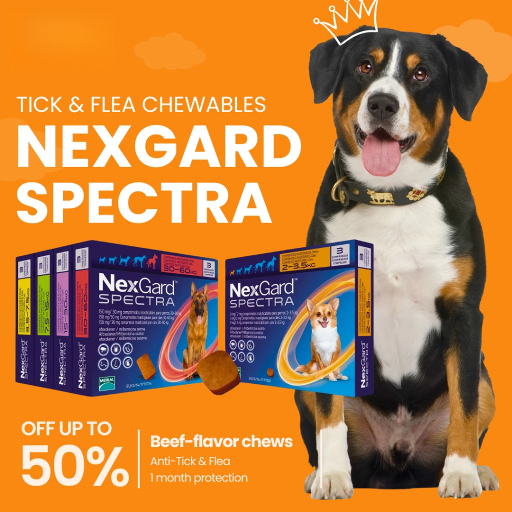 Nexgard Spectra for Dogs Anti Tick and Flea with Sticker for Dogs ...