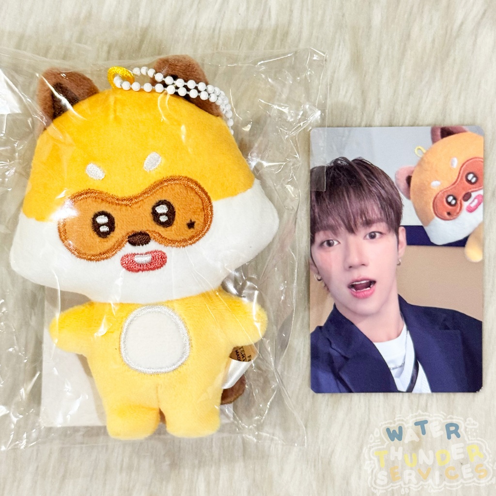 AHOF JL Plush Doll Keyring with Selfie Photocard and Freebies [ONHAND ...