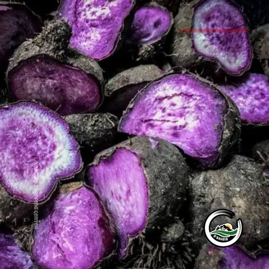 Ube - Violet | Benguet Harvest | Per Kilo | O'Baguio (COD) | Shopee ...