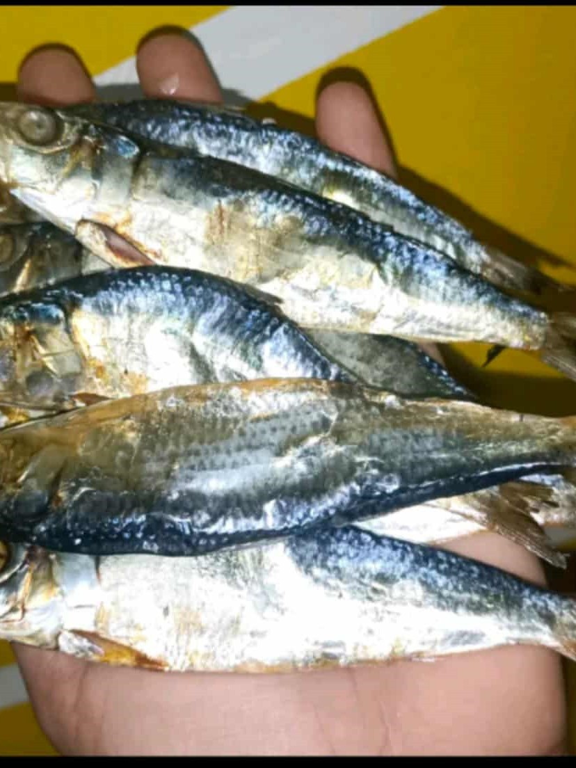 ChicBlend 1/2kg Dried Tamban Salinas/Lupoy from Mindanao | Shopee ...