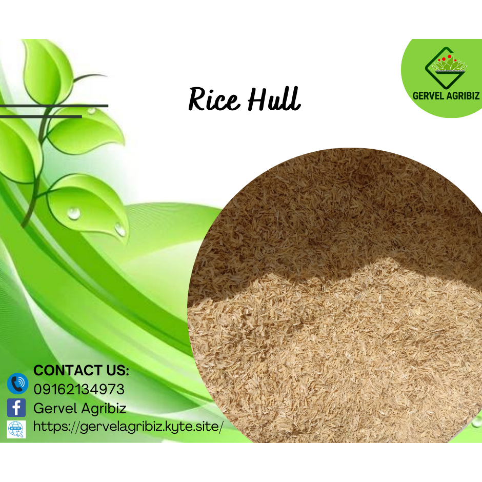 Rice Hull for soil mix, Ipa ng palay, pure, organic, (500 g) and (1 kg ...