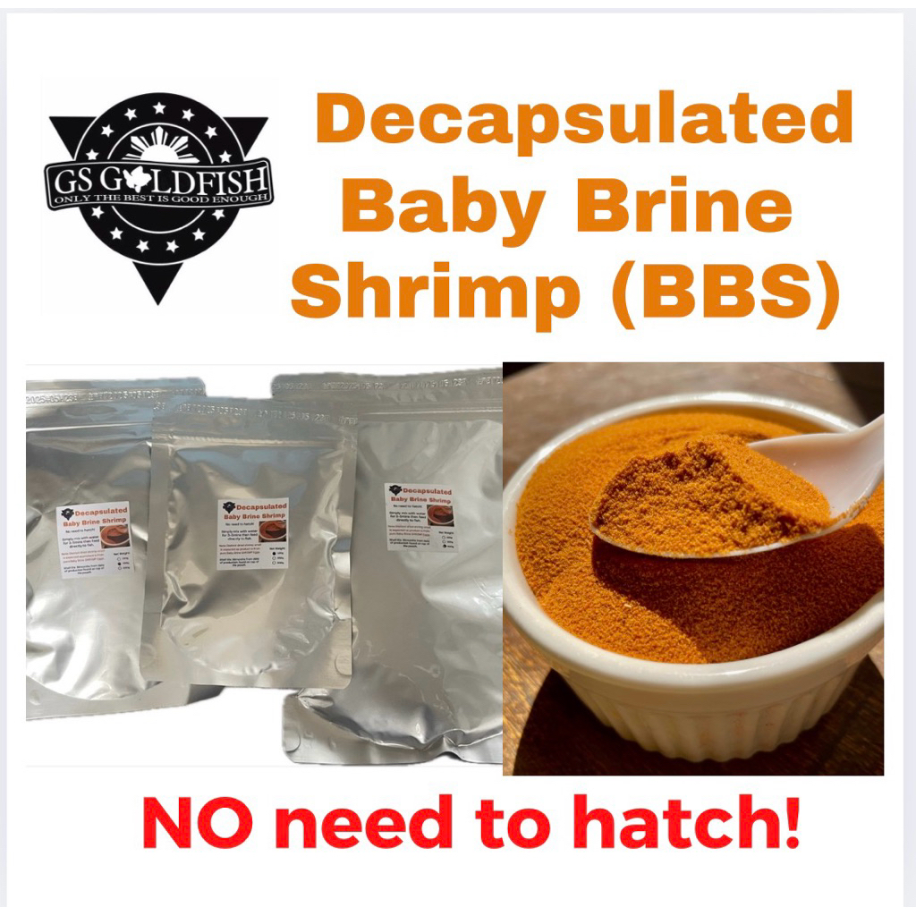 Decapsulated Baby Brine Shrimp (BBS) 100g / 250g | Shopee Philippines