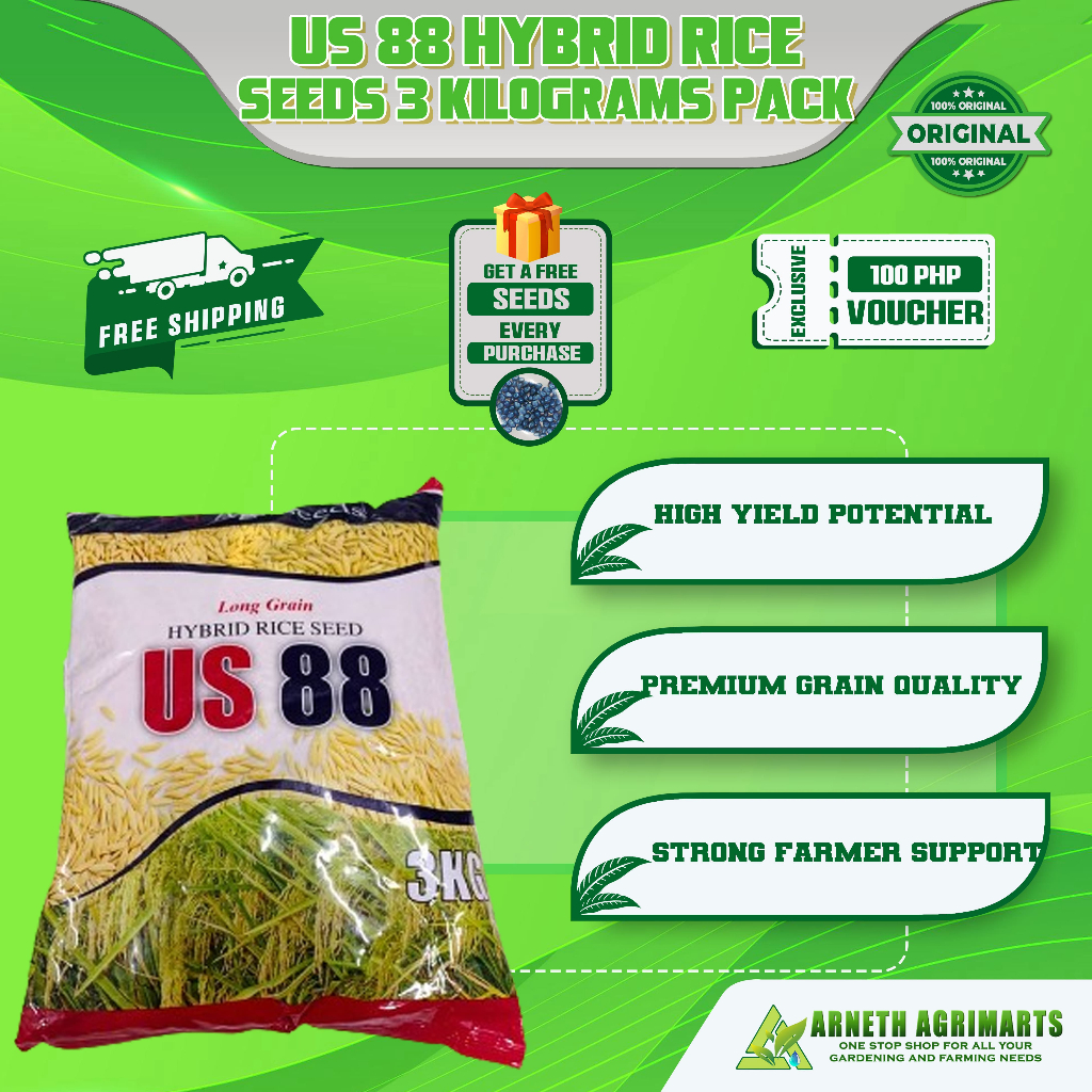 ARNETH US 88 HYBRID RICE SEEDS 3 KILOGRAMS PACK | Shopee Philippines