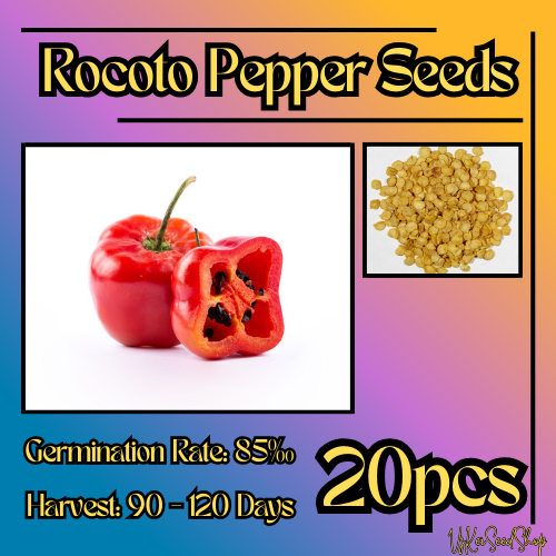 Rocoto Pepper Seeds (20pcs) | Shopee Philippines