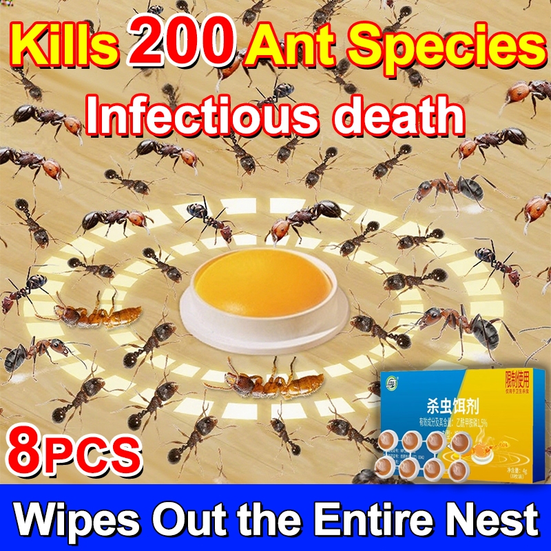 Ant Killer 24Pcs Destroy The Entire Nest Termite Killer Infect Each ...