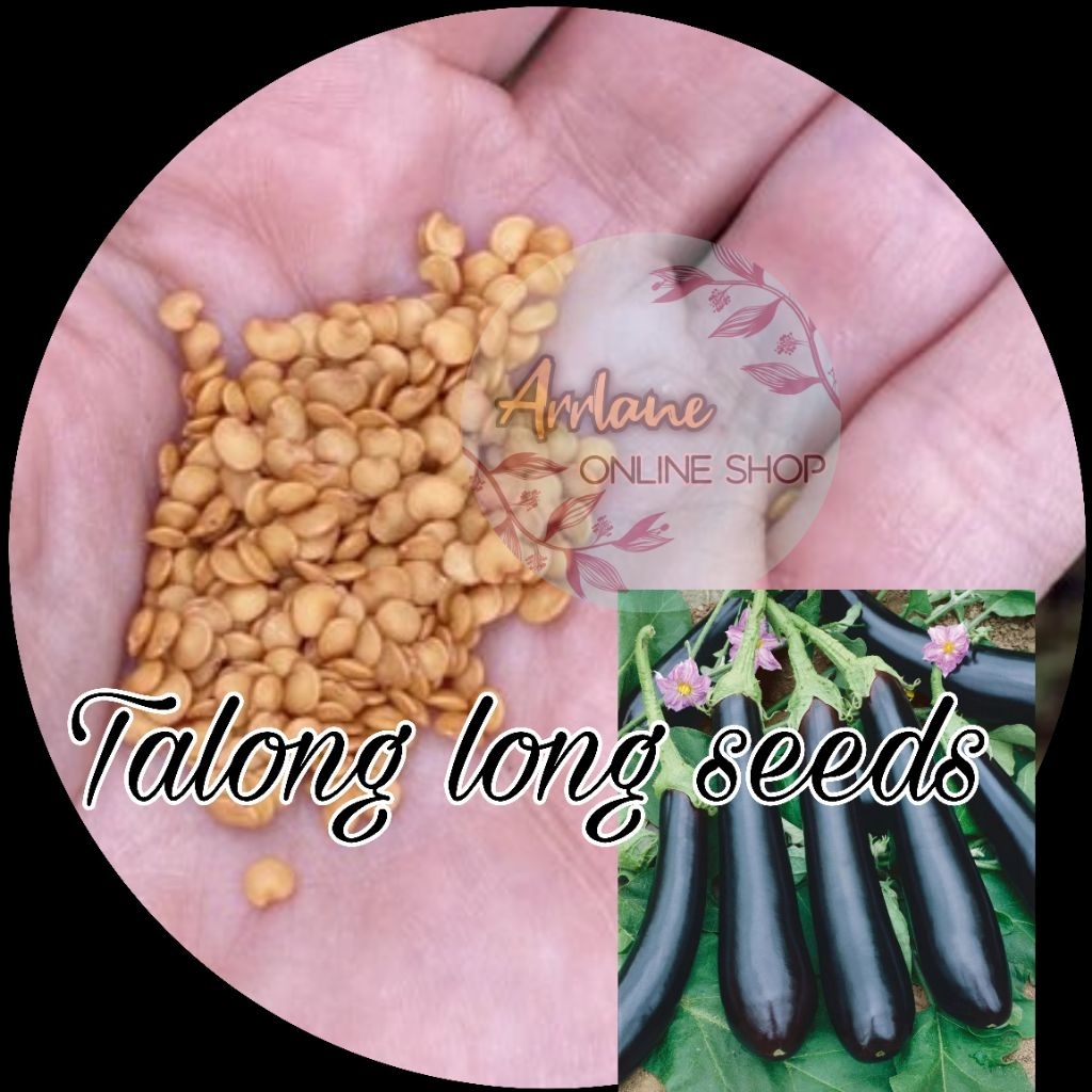 Talong long seeds certified rate 30pcs | Shopee Philippines