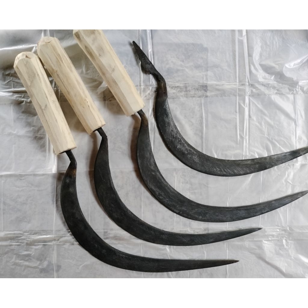 GAPAS/FOR FARMERS FROM BICOL PRODUCT | Shopee Philippines