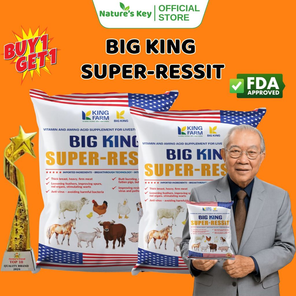 [BIG KING 500g] BIG KING USA - BEST HEALTH ROUTINE SUPPLEMENTS, 2x ...