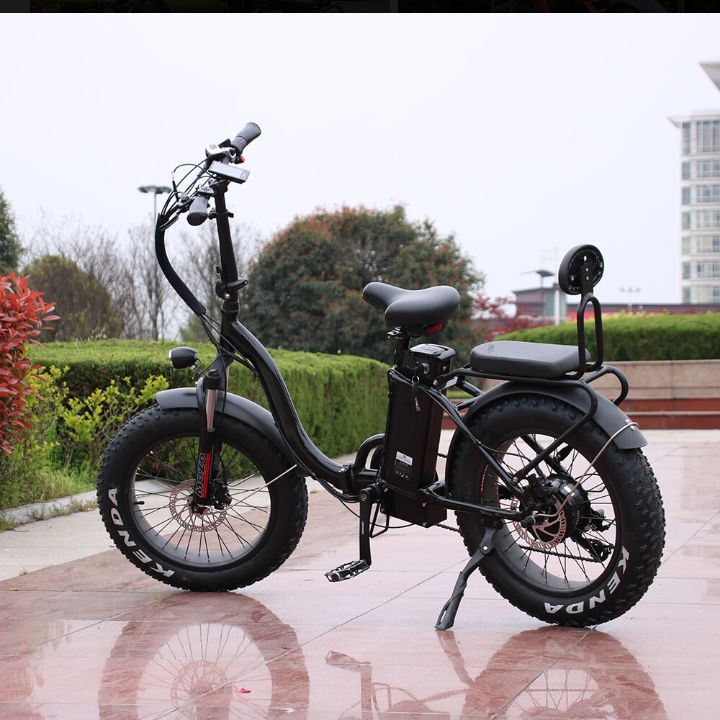 BRAND NEW ORIGINAL 2025 new 1000w/48v Two Seater Fat Tire Folding ...