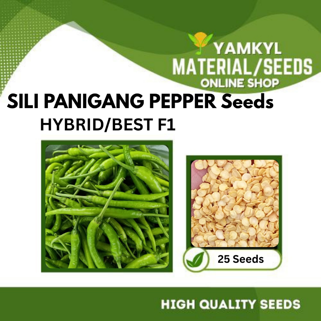 SILI PANIGANG HYBRID (BEST F1) hIGH Quality Seeds | Shopee Philippines