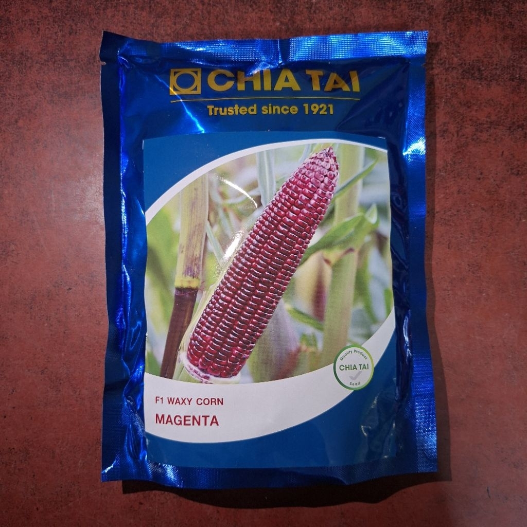 Magenta F1 (500 grams) Hybrid Purple Waxy Corn / Lagkitan by Chia Tai ...