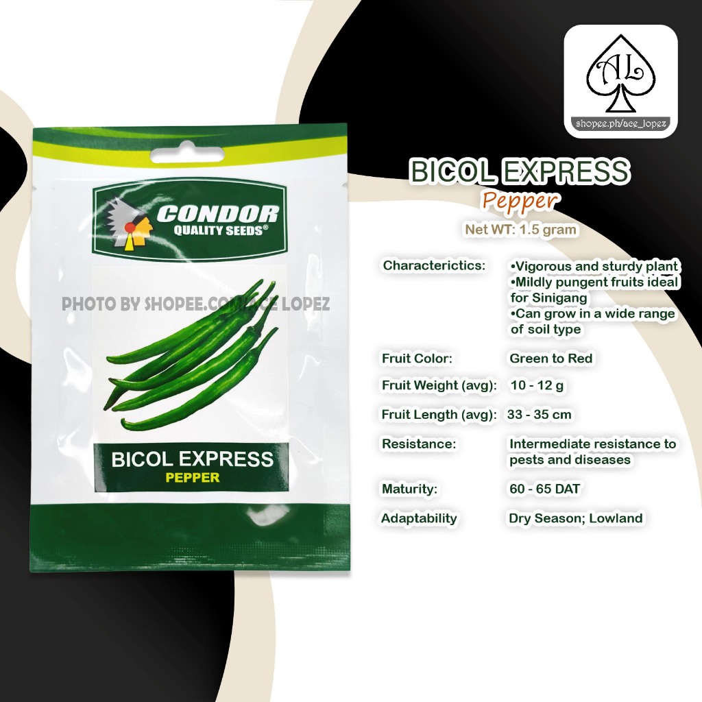 Condor Vegetable Seeds Pepper Bicol Express als21207 | Shopee Philippines