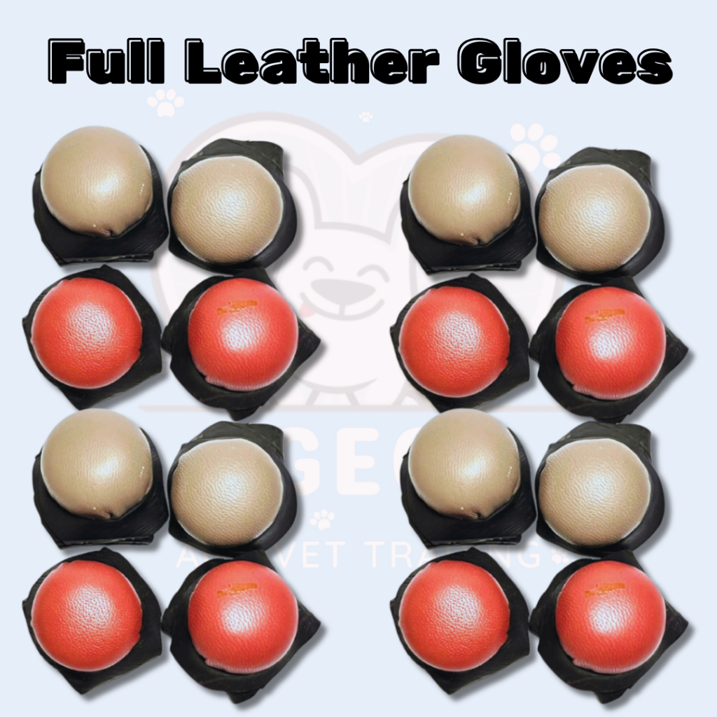 [GEO AGRIVET] 4pcs Genuine Full Leather Gloves for Gamefowl Rooster ...