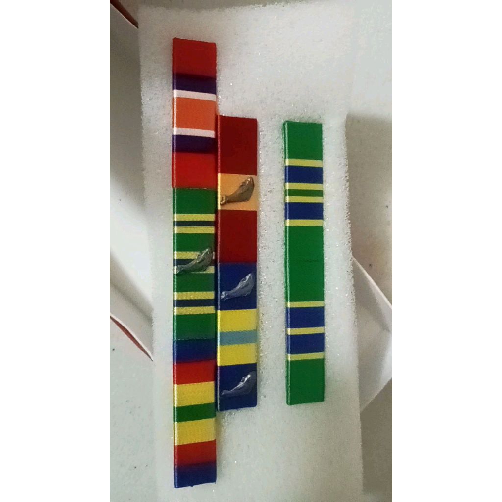 AWARDS FOR AFP AND PCG p100 per award plus p100 per magnet | Shopee ...