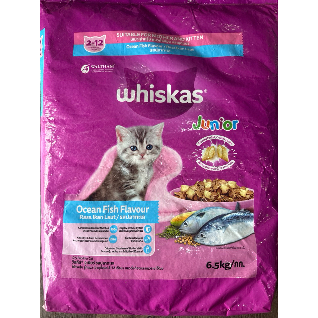 Whiskas JR kitten ocean fish 6.5kg | Shopee Philippines