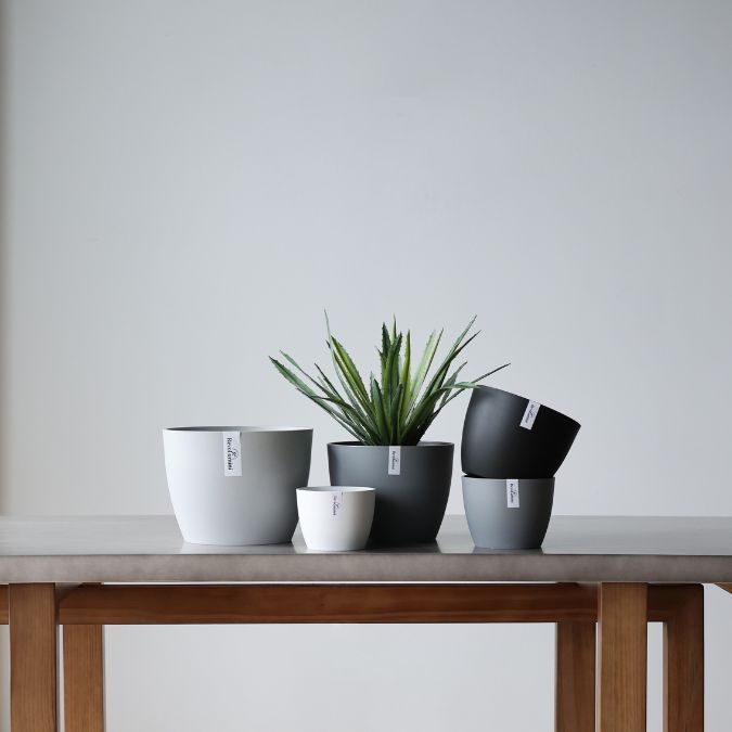 Plant Culture Urban Planter – B Series Classic Curve pot w/ Catch plate ...