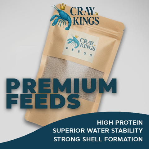 CrayKings_Premium-Sinking-Grower-Feeds(200g) | Shopee Philippines