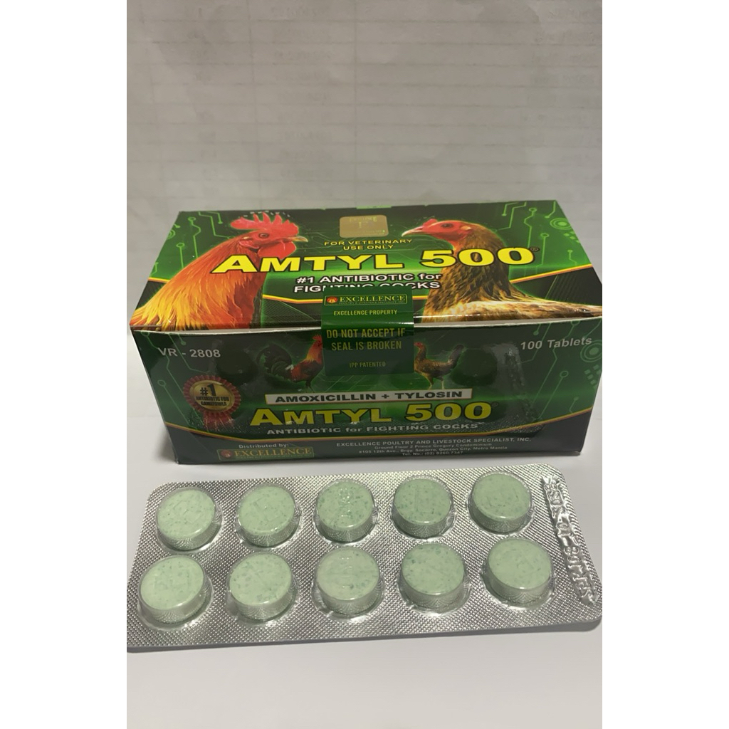 AMTYL 500 PER banig ANTIBACTERIAL TABLETS Amtyl500 ( 10 tablet - 1banig ...