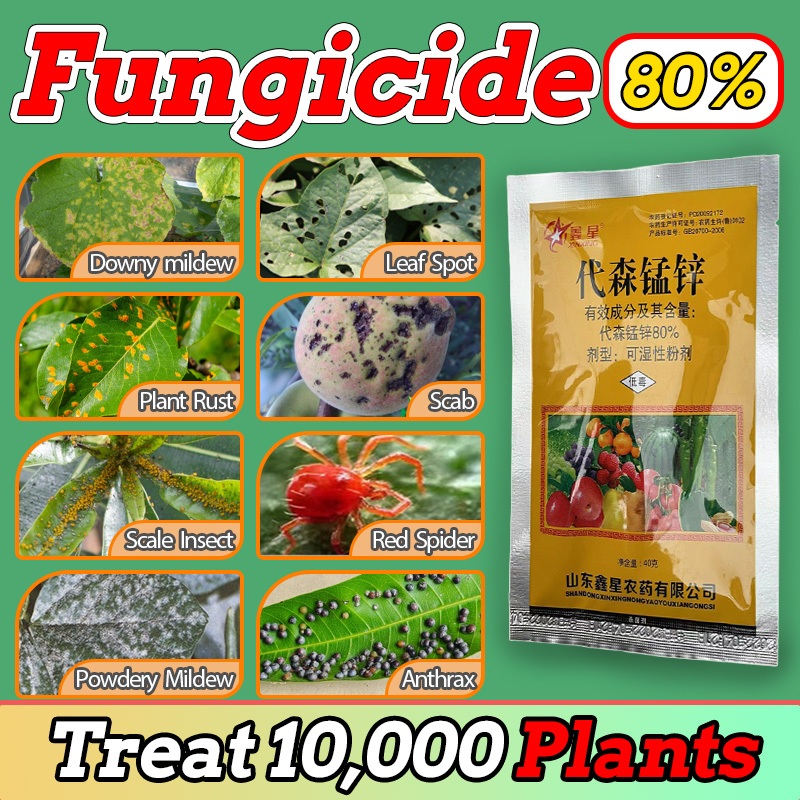 Kill 10,000 Fungi Mancozeb Fungicide Powder for Plants 40g Fungicide ...
