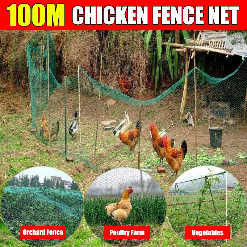 100M Chicken Range Net Fencing Outdoor Nylon Fishing Net For Poultry ...