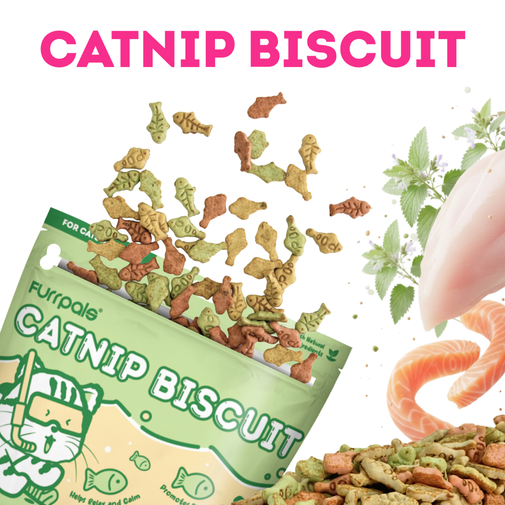 Furrpals Cat Treats Pet Biscuit Catnip Cookies for All Stage 200g Molar ...