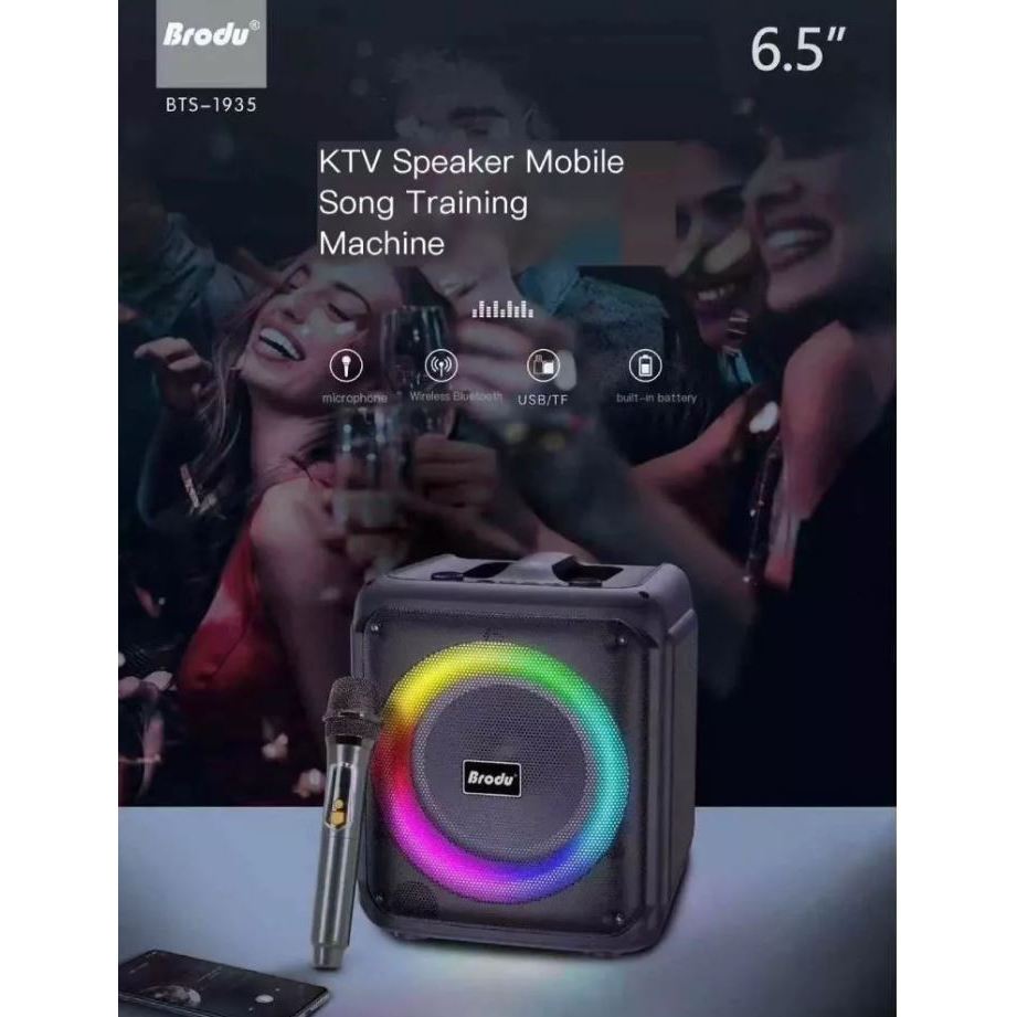 Brodu BTS-1935 Karaoke Speaker – 6.5" Portable Bluetooth Party Speaker ...