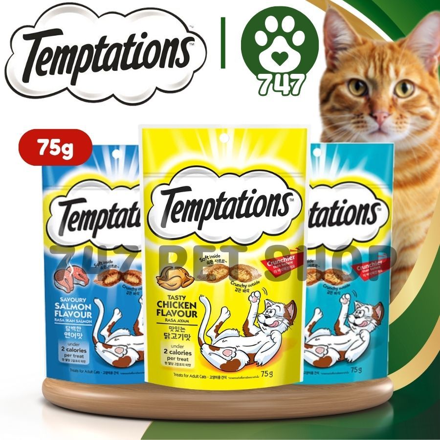 75g Temptations Cat Cats Snacks Treats Food All Stages Adult Kitten Pet ...