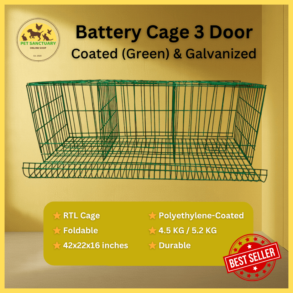 3 Door Battery Cage Green / Galvanized / RTL /Breeding cage /Kulungan ...