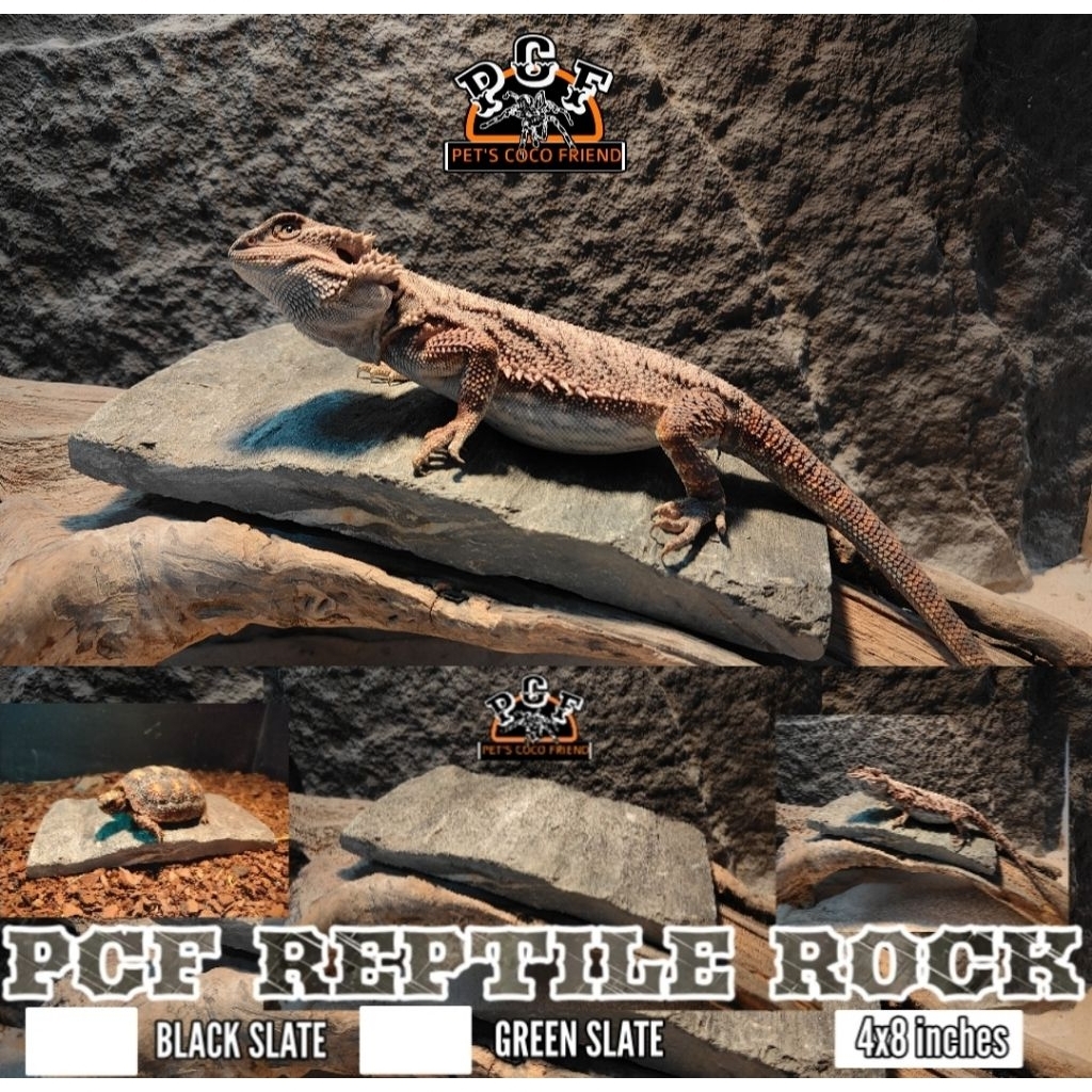 PCF REPTILE ROCK, Slate rock, Basking rock for reptiles | Shopee ...