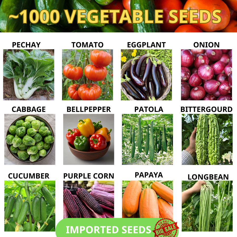 Vegetable Seed Packet(F1) – Pechay Pakchoi, Chili, Tomato, Cucumber ...