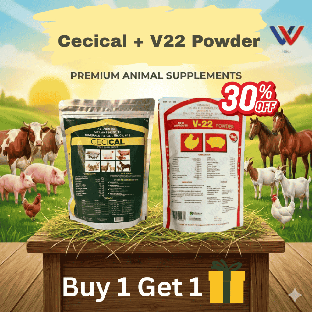Cecical + V22 Powder Calcium Combo 2kg belman for animals belman lab ...