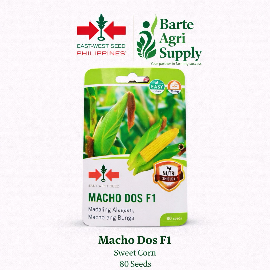 Macho Dos F1 (sachet) | Shopee Philippines