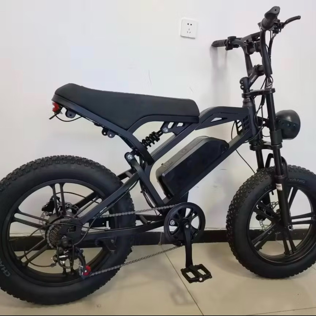 Brand.... New..... ebike Electric Bicycle 20 Plus Size Tire Snow Beach ...
