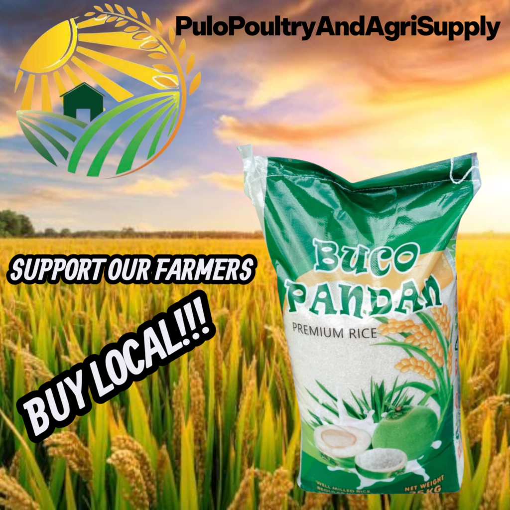 BIGAS 25KG, BUKO PANDAN, BUCO PANDAN, JASMINE DENORADO YELLOW, JASMINE ...