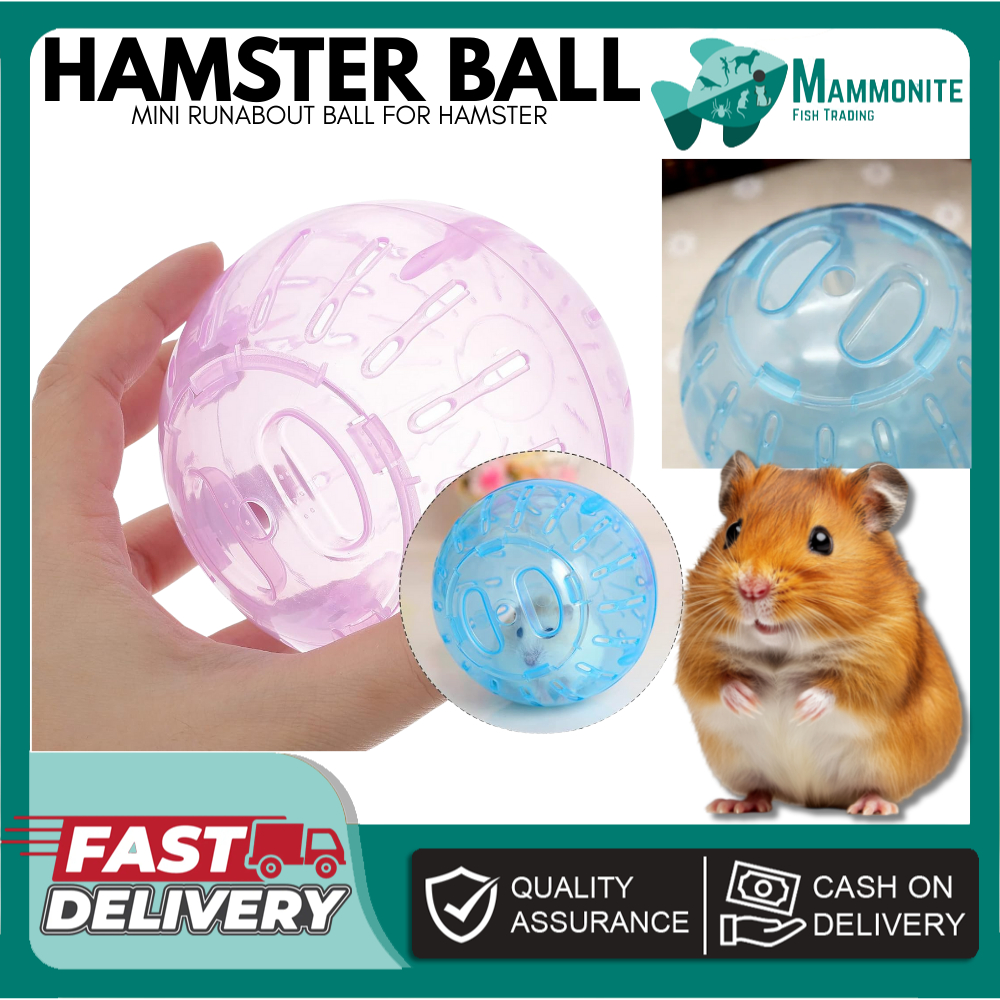 Colorful Hamster Ball Toy 12cm and 10cm Small Running Ball, Mini ...