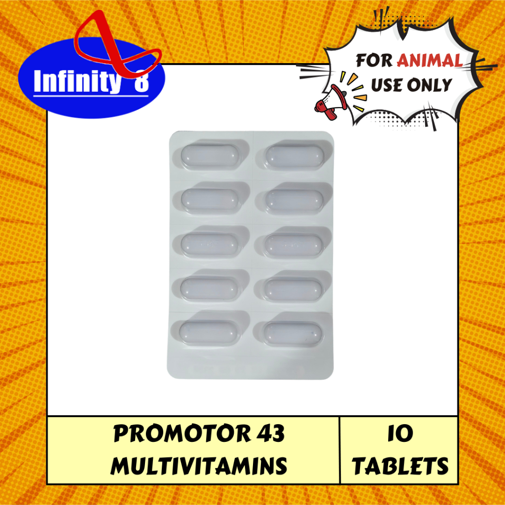 EXCELLENCE PROMOTOR 10 CAPSULES (1 BANIG) | Shopee Philippines
