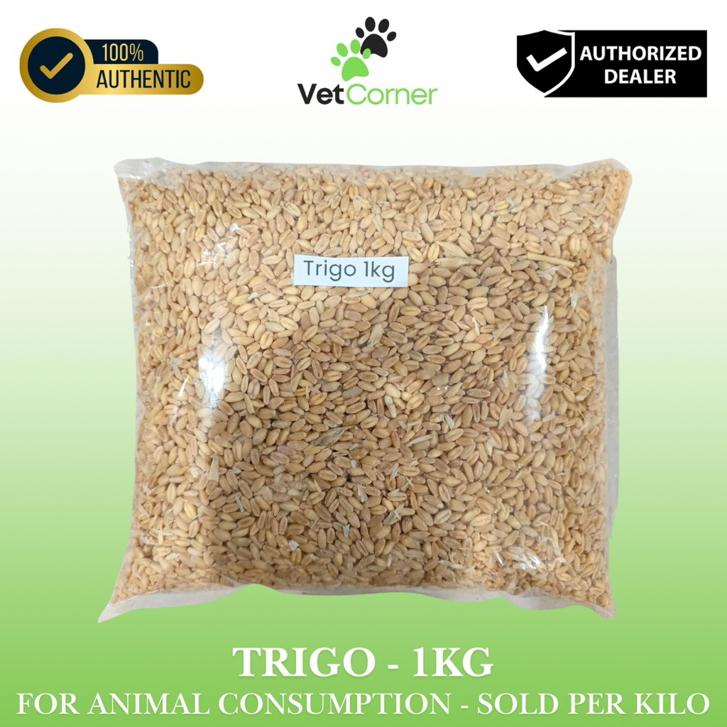 TRIGO - Wheat - Sold per Kilo/Retail | Shopee Philippines