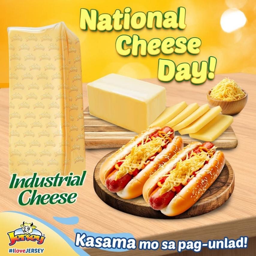 Choco Pinoy | 2kg Jersey Industrial Cheese Bar with print sa packaging ...