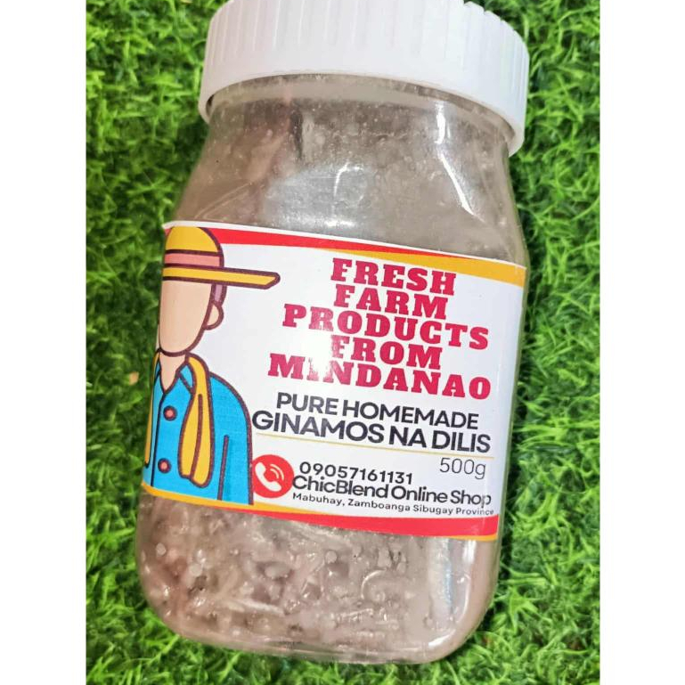ChicBlend 1/2kilo Home Made Ginamos na Dilis fermented fish from ...
