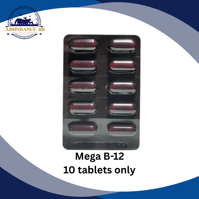 EXCELLENCE MEGA B12 CAPSULE - 10 CAPSULES | Shopee Philippines